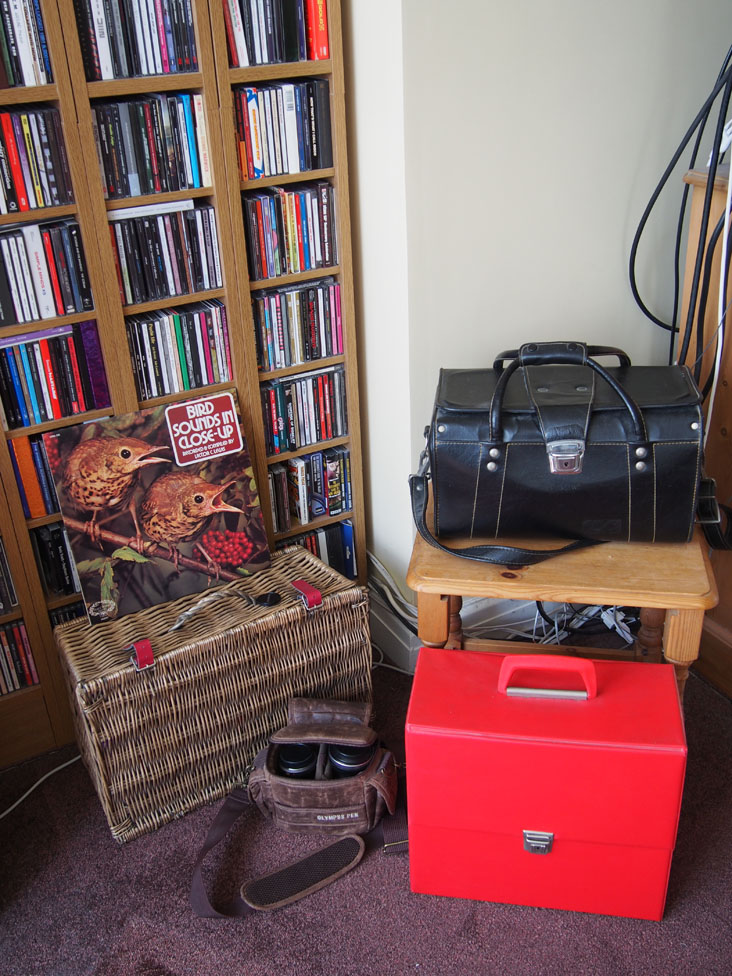 How to Maximize Your Storage With Minimal Space Tips | ForRent