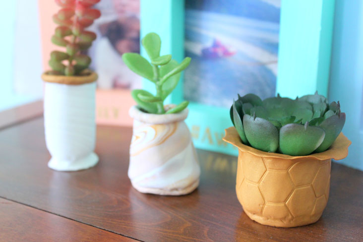 6 Ways to Get Trendy With Succulents Tips | ForRent