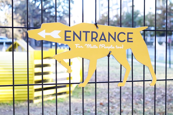 Best Pet-Friendly Spots in Dallas | There are a plethora of … | Flickr